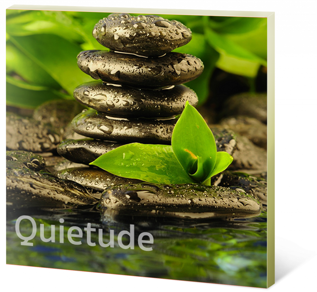 Awakening Prologue 📞 - shop.centerpointe.com